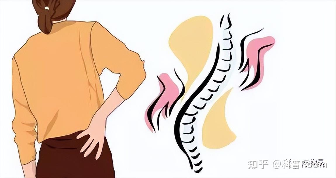 人类在进化过程中丢掉了尾巴，却为什么还要保留尾椎骨？ - 知乎