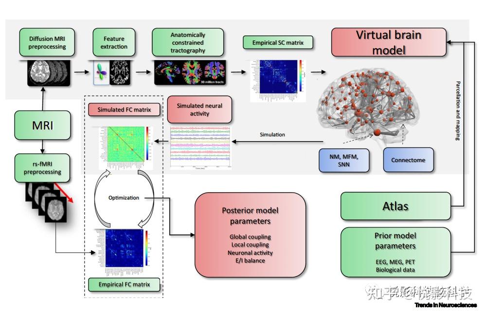 Trends In Neurosciences重磅综述 多尺度大脑建模的探索 知乎