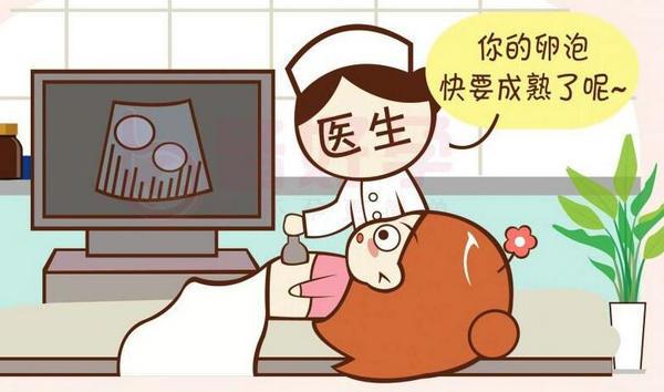 试管婴儿期间为什么要进行卵泡检测？它的作用大着呢 知乎