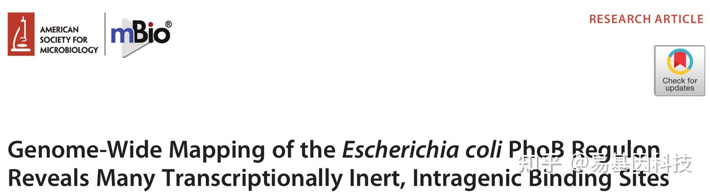 易基因：全基因组ChIP-seq分析揭示细菌转录因子PhoB的基因内结合位点｜mBio - 知乎