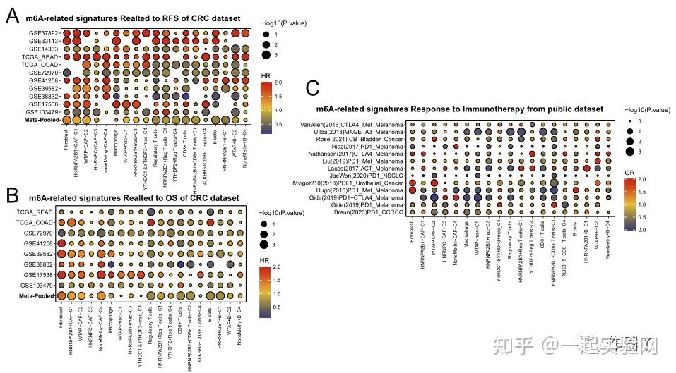 8+！单细胞+m6A相关分析~ - 知乎