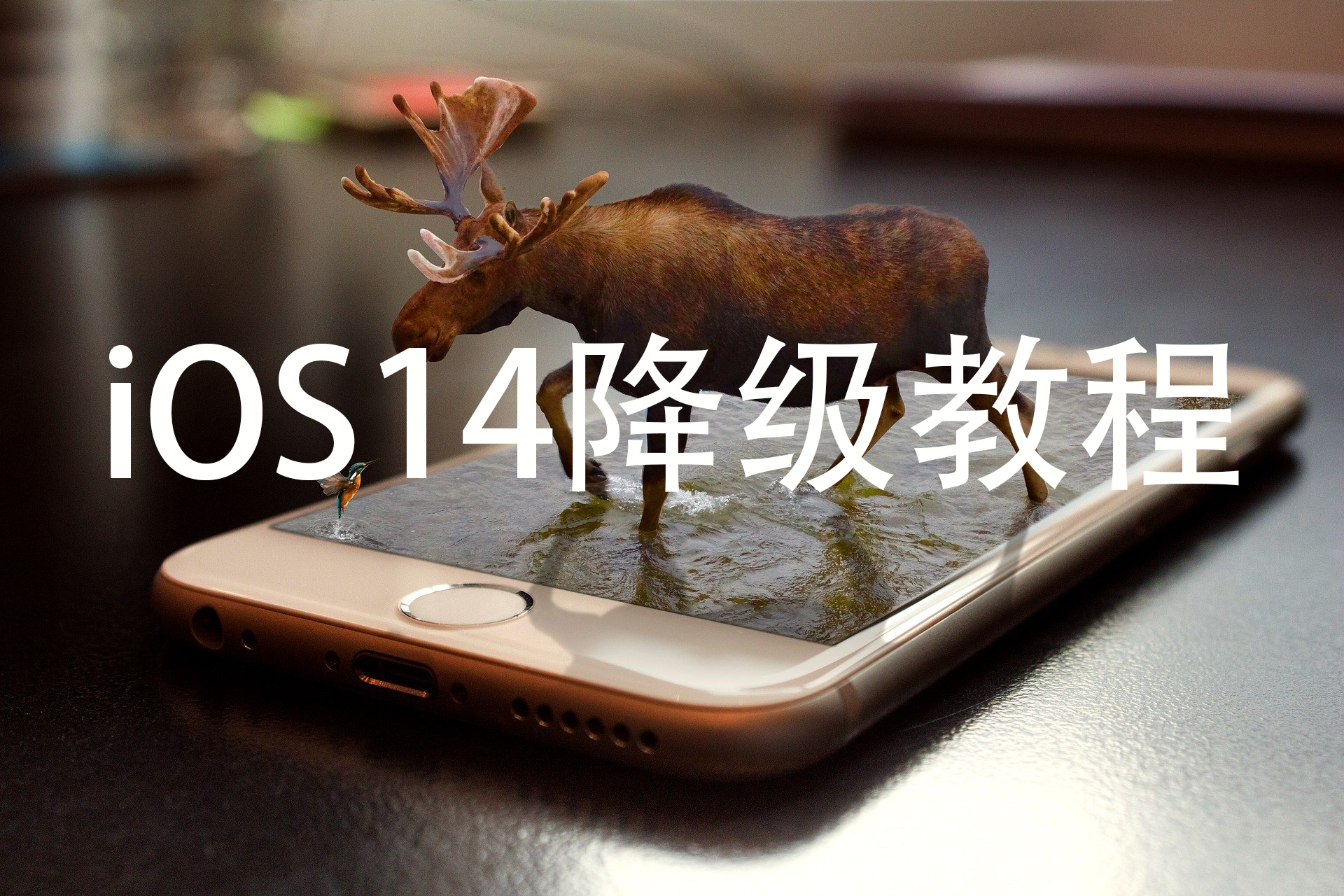 iOS14降级教程|iPhone升级翻车，BUG扎堆，如何降回iOS13？ - 知乎