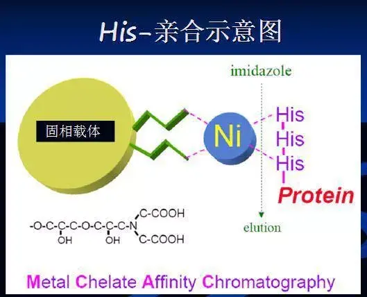 史上最全的30个生物实验技术及原理! - 知乎
