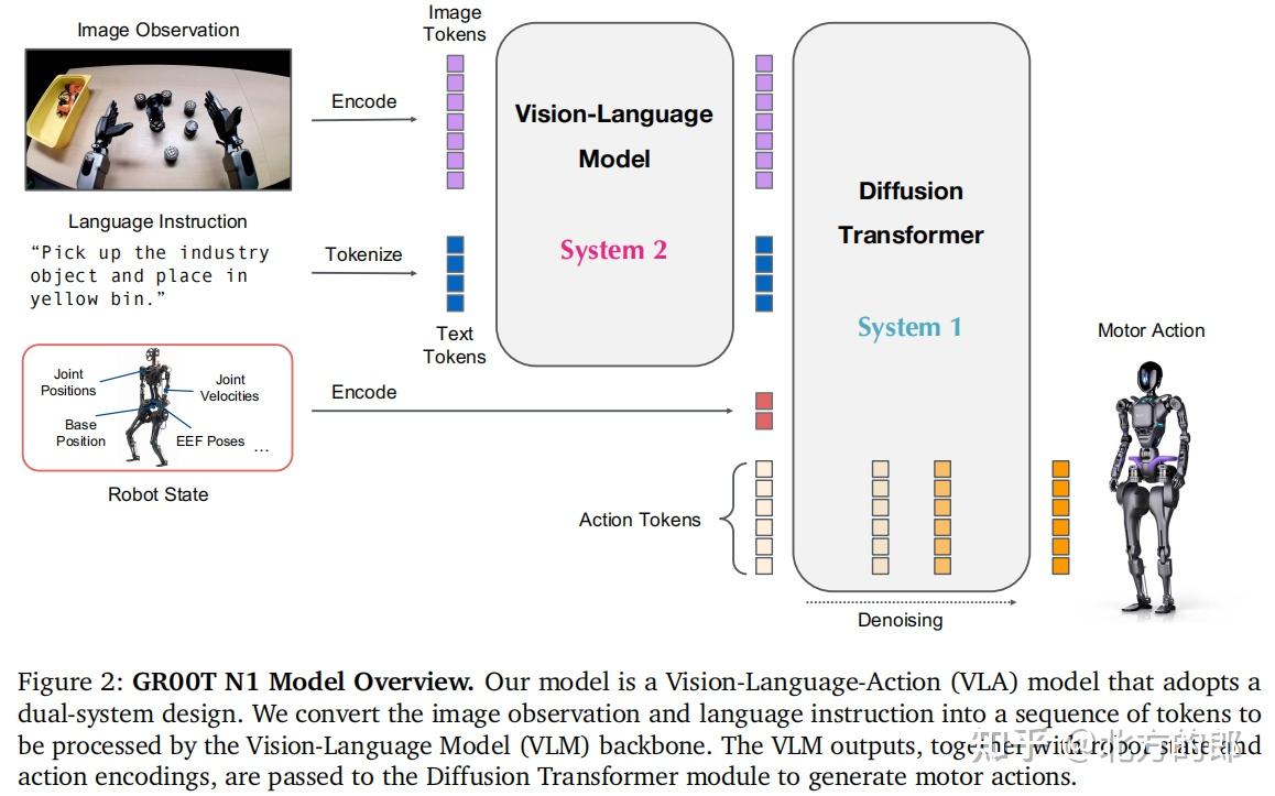 英伟达开源GROOT N1：人形机器人的“通用大脑”, 如何改写智能未来？ - 知乎