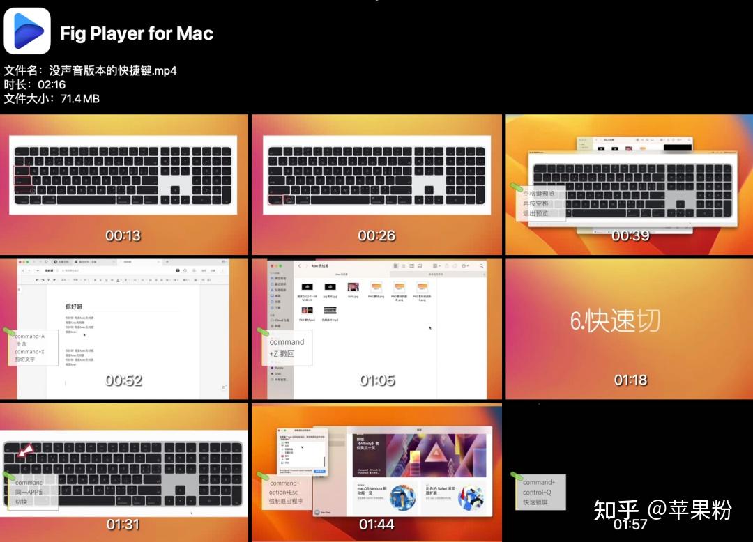 接近一万评分，平均4.9分！Fig Player在Mac上算一个能打的播放器应用吗？ - 知乎