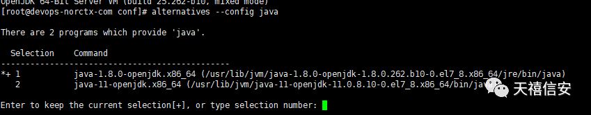 【Cobalt-Strike-Start】 基础安装指南 - 知乎