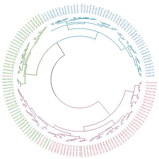 拓端tecdat|R语言鸢尾花iris数据集的层次聚类分析 - 知乎