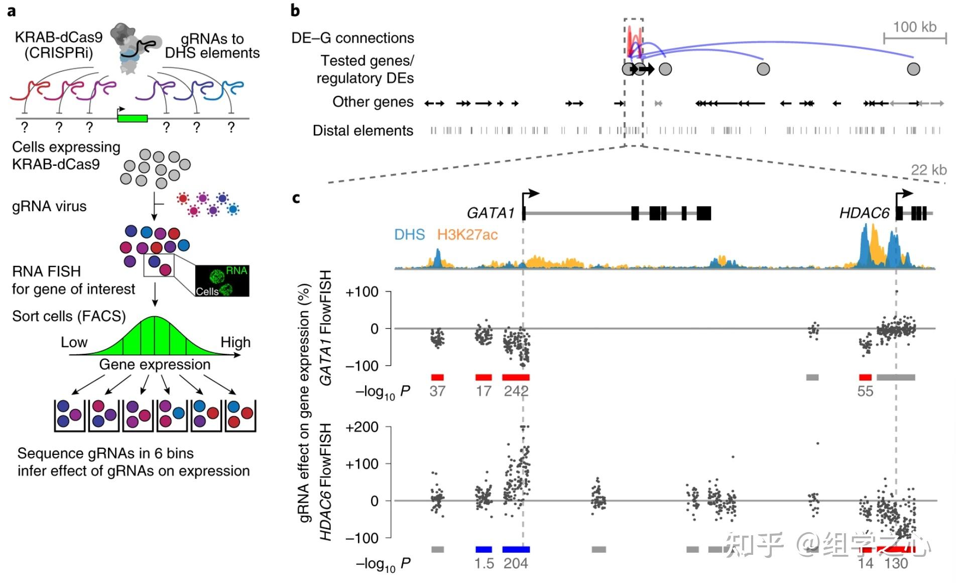 Nat Rev Genet | 如果DNA序列能“说话”？深度学习S2E（序列2表达）模型正在听懂基因组的调控秘密！ - 知乎