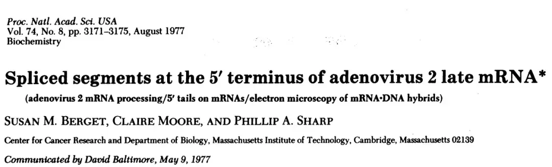 致敬Phillip Sharp和周芷——RNA splicing的发现史 - 知乎