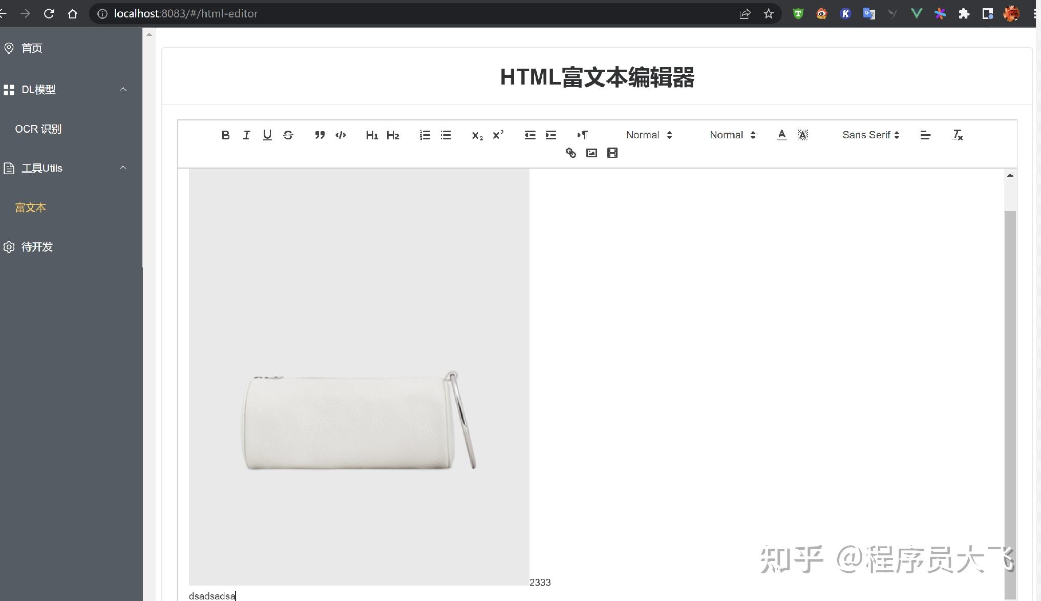 Vuequill 在项目中集成导航栏及富文本编辑器 知乎