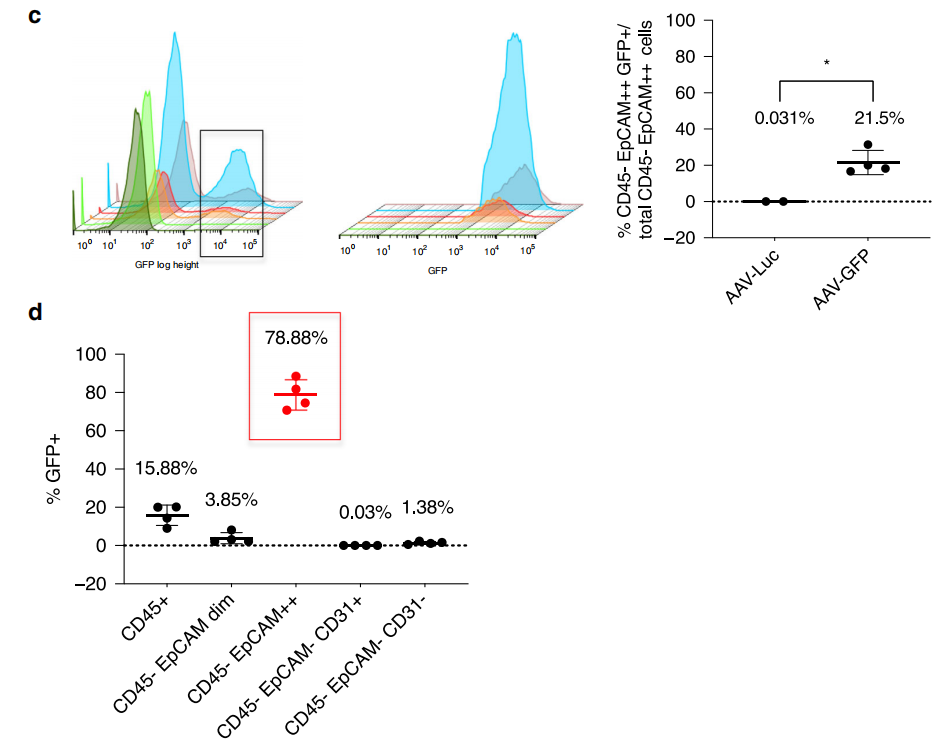 腺相关病毒载体（AAV）在肺脏的研究及应用 - 知乎