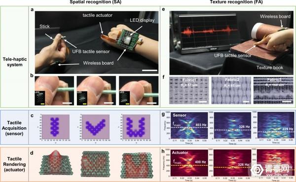 延迟低于1.55毫秒，韩国ETRI研发远程实时触觉渲染系统 - 知乎