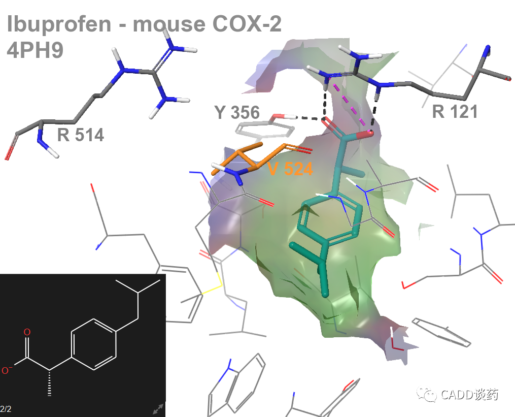 看两个选择性COX-2抑制剂 - 知乎
