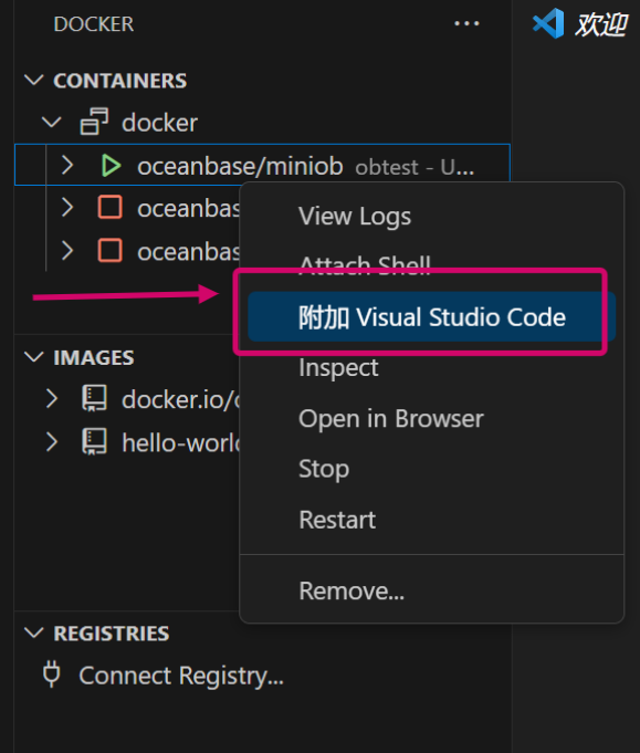 miniob环境配置速通教程（Oceanbase数据库大赛/SDU数据库实验）超级手把手版 - 知乎