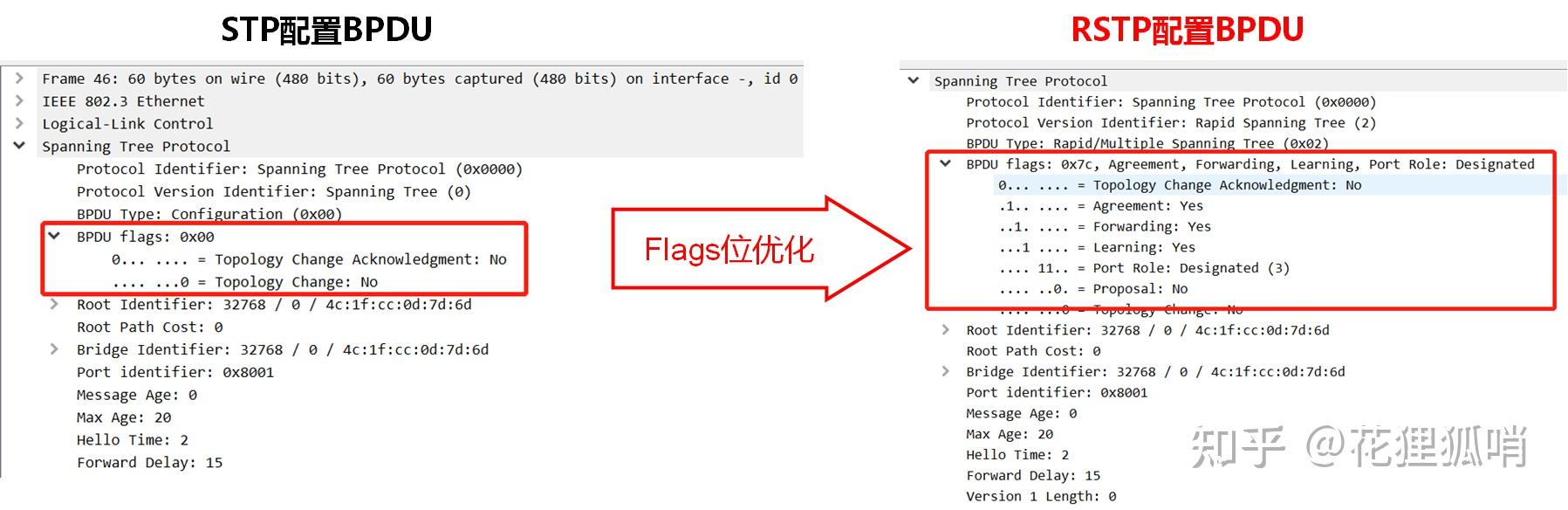 RSTP与STP不同 - 知乎