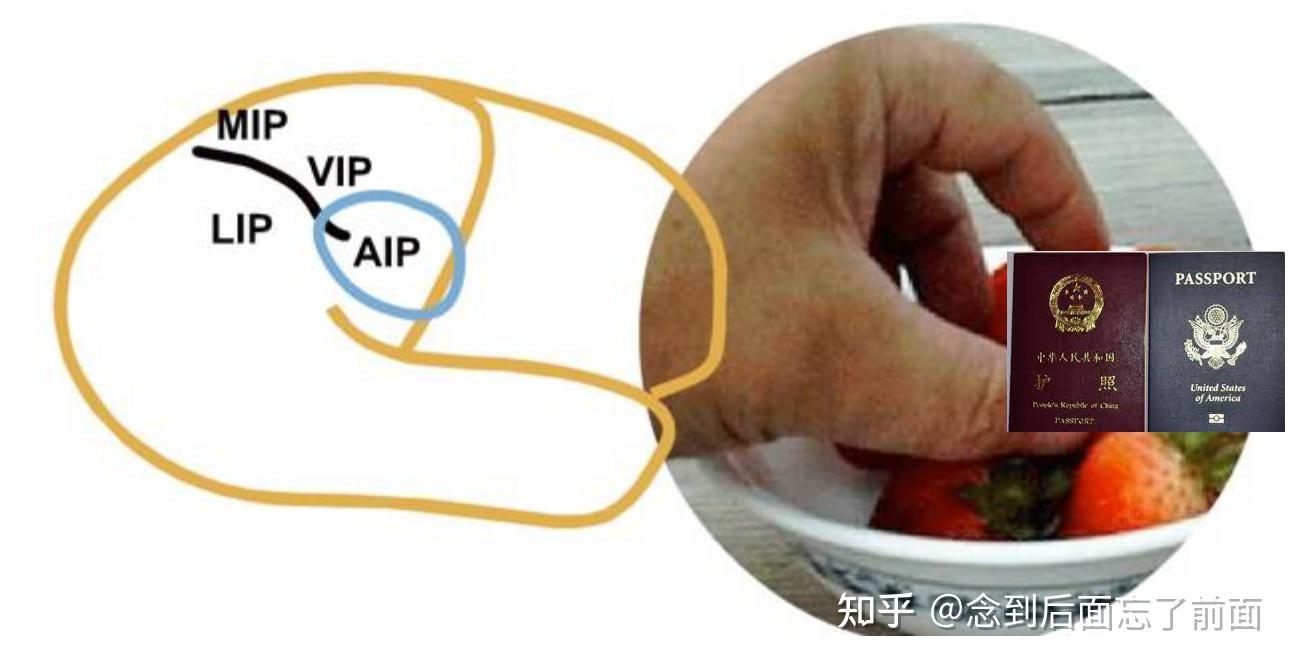 Dual-Pathway Model of Visual Win-Information Processing 赢视信息处理的双通路模型 - 知乎