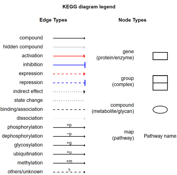 Pathview包：整合表达谱数据可视化KEGG通路 - 知乎