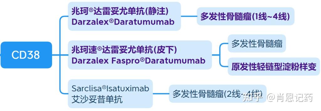 记住所有FDA生物药 | 两款CD38生物制剂 | 达雷妥尤单抗、Isatuximab艾沙妥昔单抗 | 多发性骨髓瘤等 - 知乎