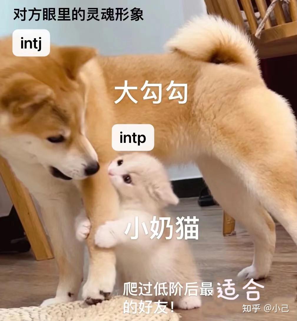 INTJ为什么被称为最可怕的人格 - 知乎