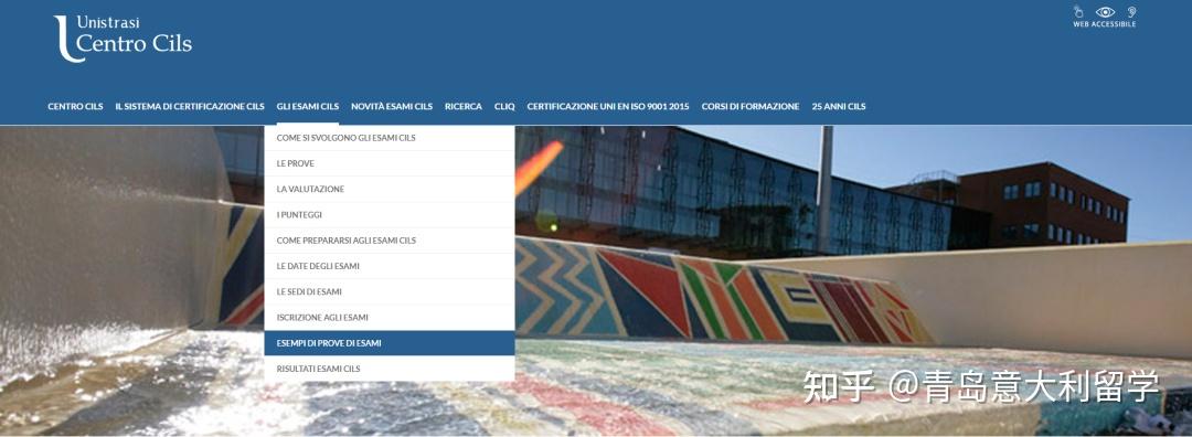 干货建议收藏|手把手教你如何准备CILS B2考试及CILS等级考试内容、评分标准最全解析 - 知乎