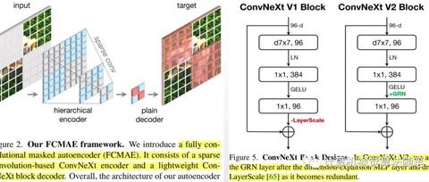 追一追"新鲜出炉"的ConvNeXt-V2 - 知乎