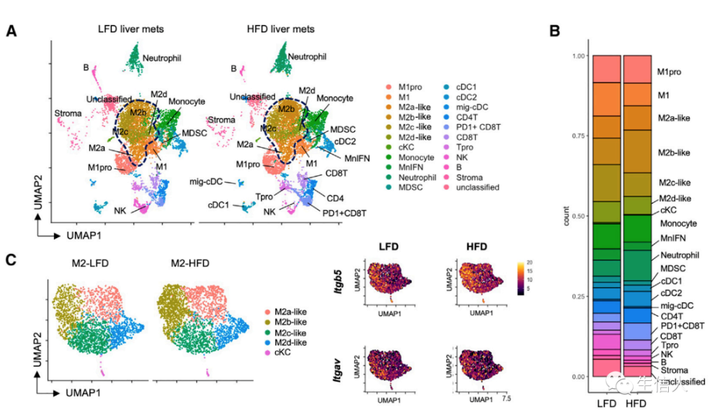 Cell Metab重磅！转移前微环境 — 全新视角解析转移性肿瘤 - 知乎