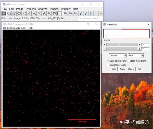 ImageJ使用心得之Particle Analysis （一） - 知乎