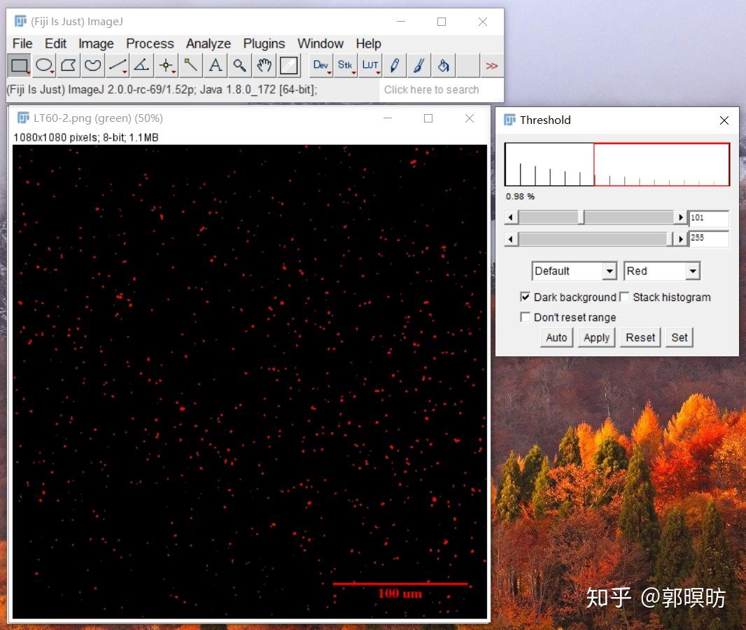 ImageJ使用心得之Particle Analysis （一） - 知乎