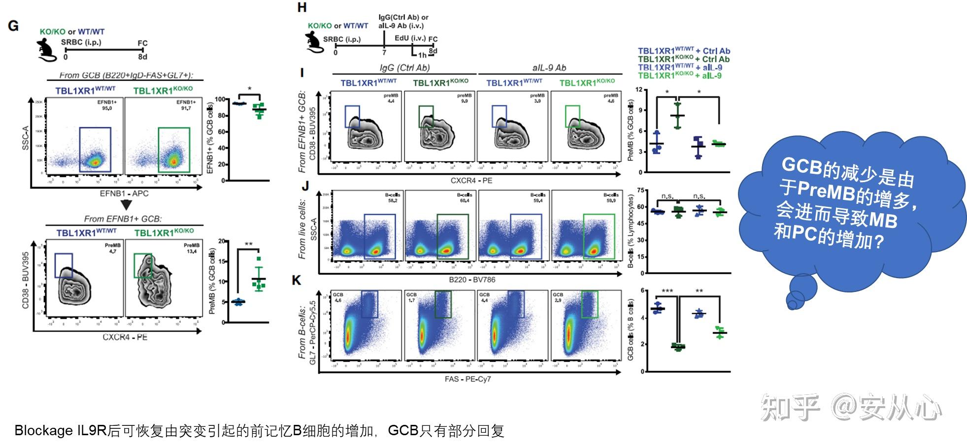 TBL1XR1突变通过诱导促肿瘤程序驱动结外淋巴瘤 - 知乎