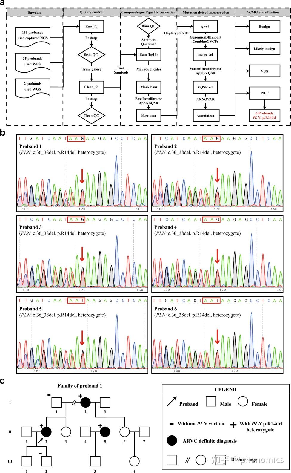 Phenomics | Phenomics期刊2024年第一期文章合集 - 知乎