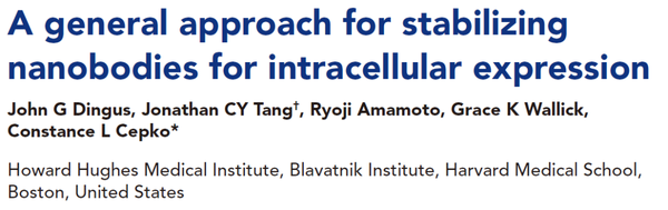 细胞内VHH - 知乎