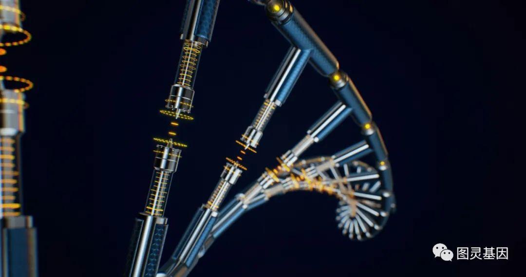 JACS | 可编程DNA开关, 可控制药物释放 - 知乎