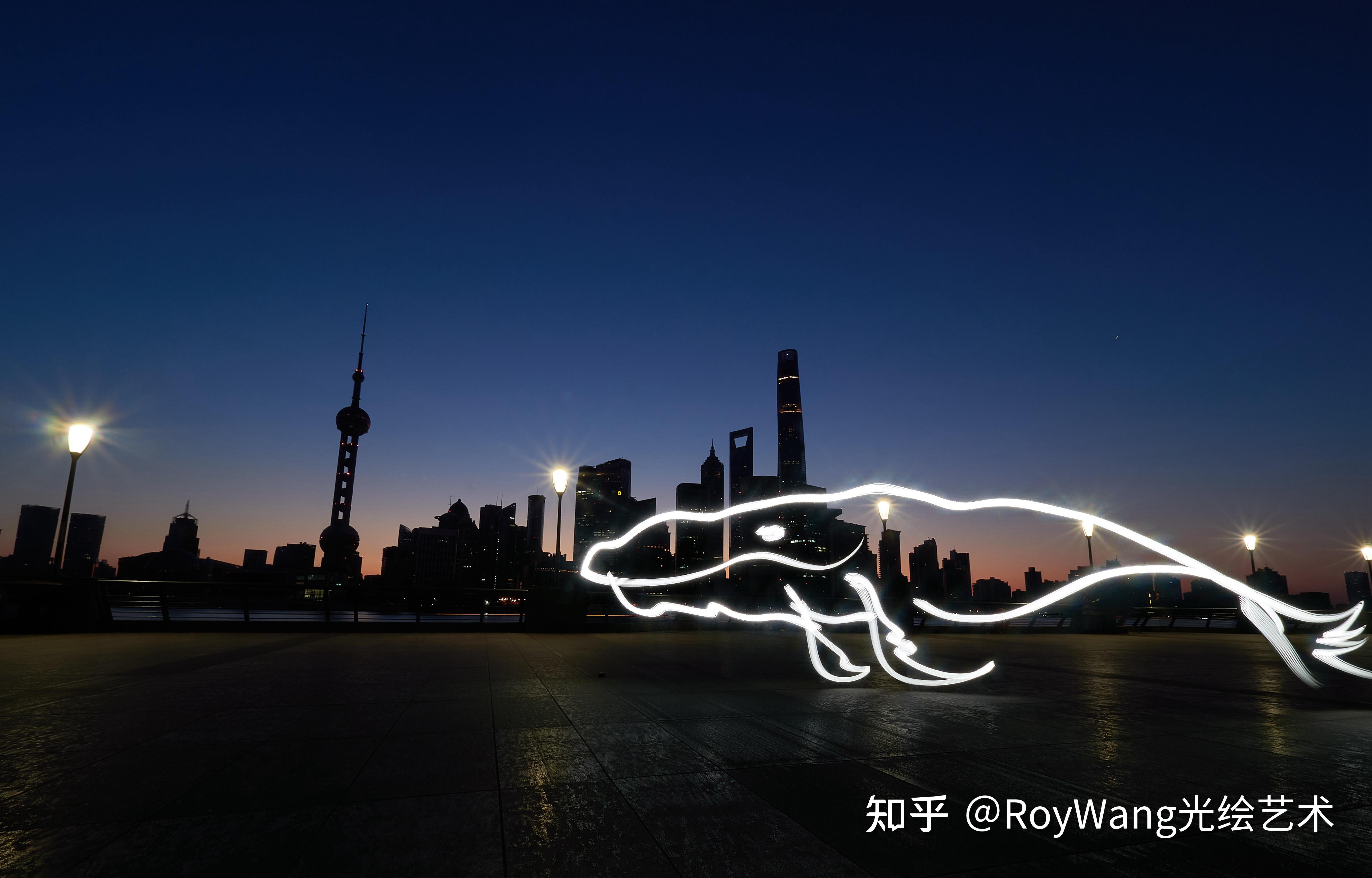 欢迎进入Roywang的光绘世界 - 知乎