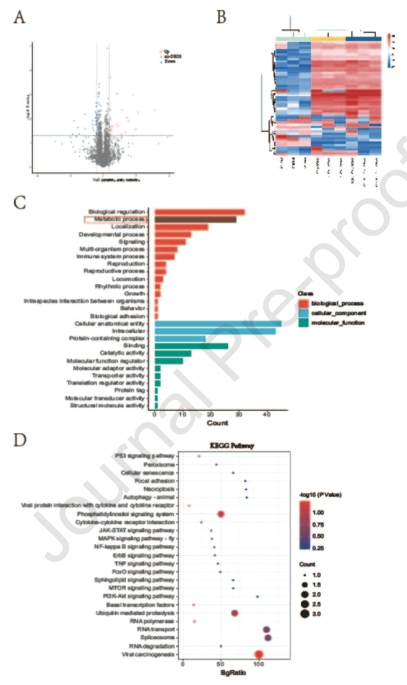 Biochemical Pharmacology丨右美托咪定通过抑制PKM2-有氧糖酵解-M1极化轴减轻脓毒症肺损伤 - 知乎