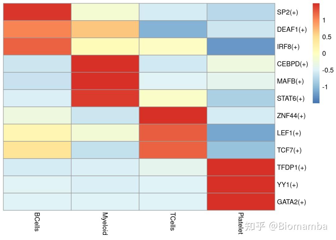 比R版本快几十倍| Pyscenic单细胞转录因子预测 - 知乎