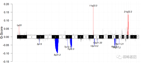 DNA 7. 基因组拷贝数变异分析及可视化 (GISTIC2.0) - 知乎