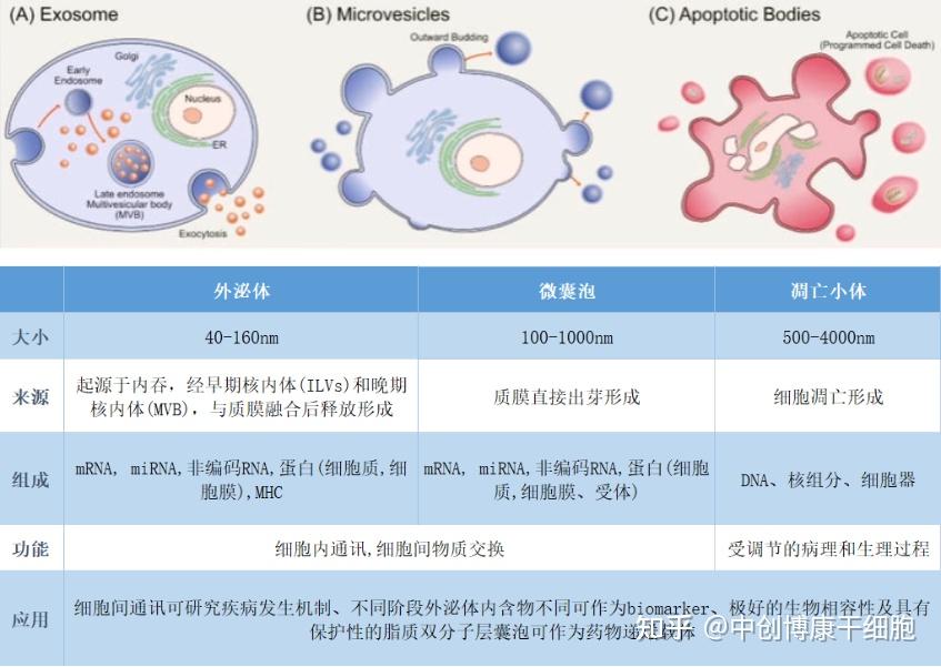 三分钟带你了解医学领域的新星——外泌体 - 知乎
