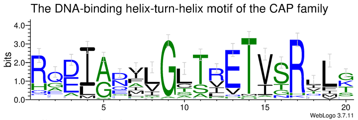 生信小白如何画出美美的SeqLogo图 - 知乎