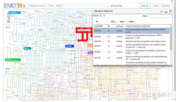 转录组测序技术和结果解读（十四）——iPath分析差异通路 - 知乎