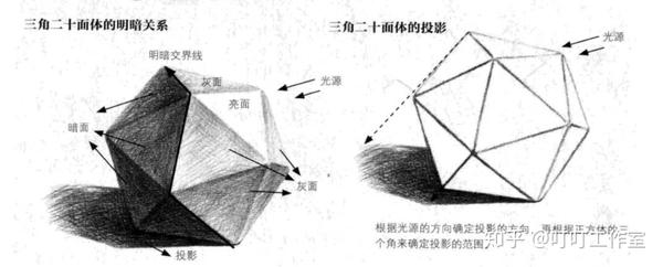 定制素描画像中三角二十面体 知乎