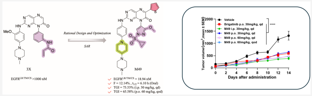 【JMC】华东理工大学陈卓/徐玉芳/李洪林：突变频发！新型EGFR L858R/T790M/C797S抑制剂来解 - 知乎