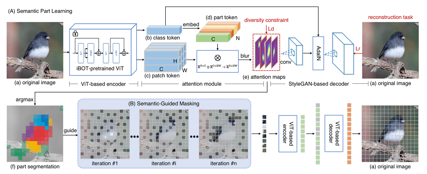 Mask Autoencoder 各类变体 - 知乎