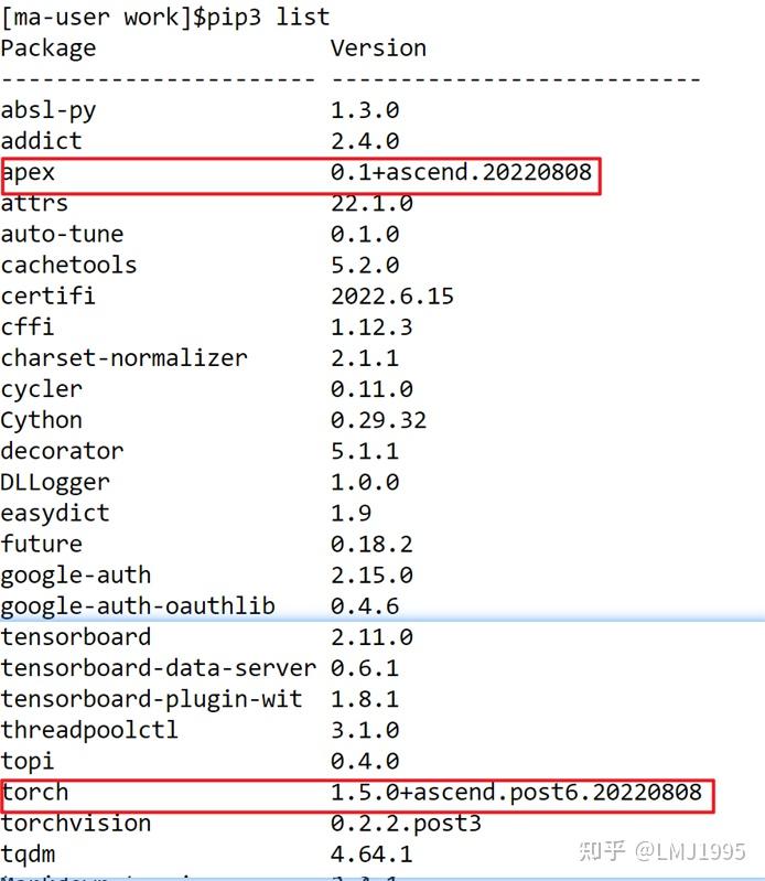 [S8]PyTorch+Ascend:单机多卡实践 - 知乎