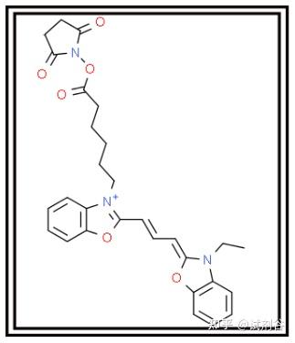 Cyanine2 NHS Ester，186205-33-4常被用于蛋白、抗体以及小分子化合物的标记 - 知乎