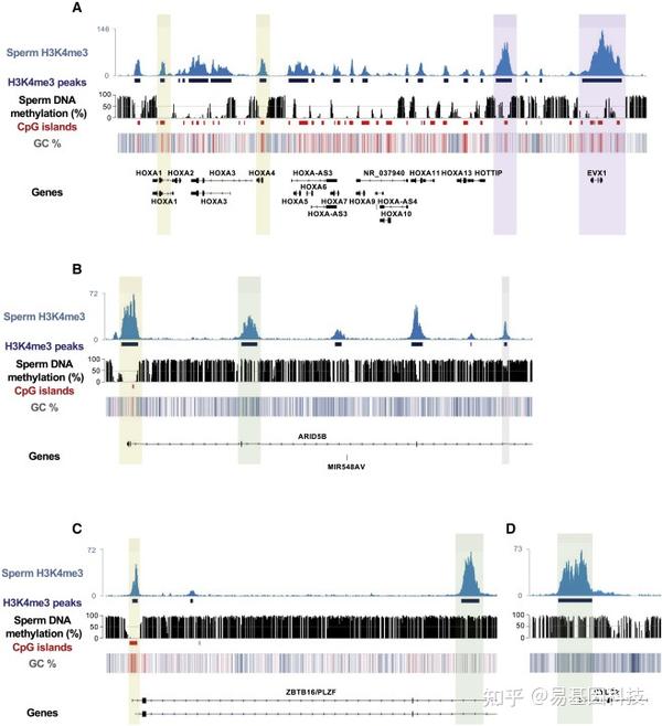 易基因：人精子H3K4me3 ChIP-seq和DNA甲基化WGBS揭示与生育和发育相关重叠区域 - 知乎
