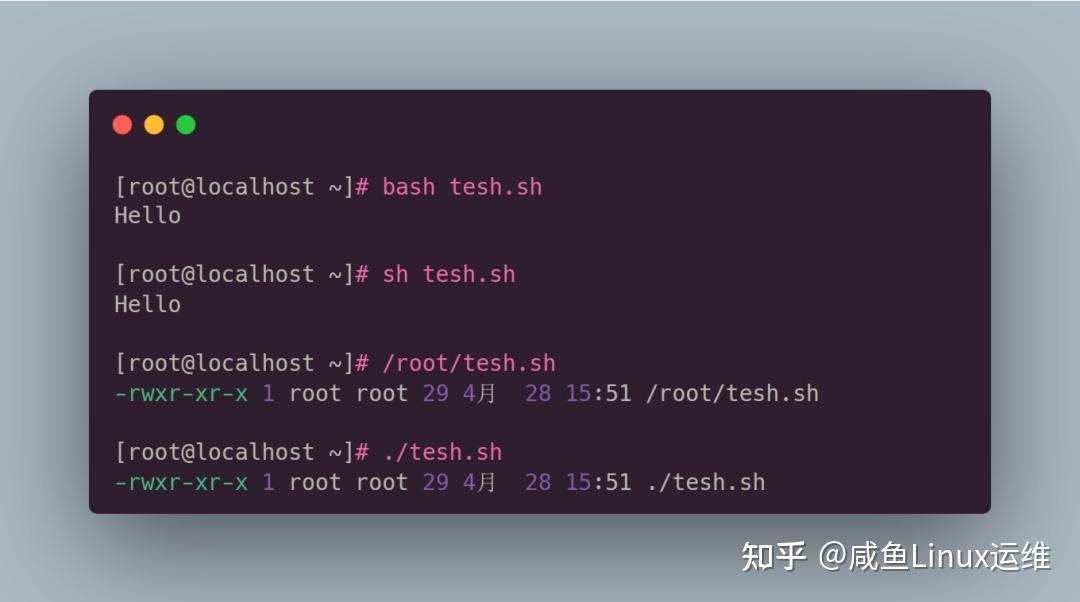 关于 Bash 脚本中 Shebang 的趣事 - 知乎