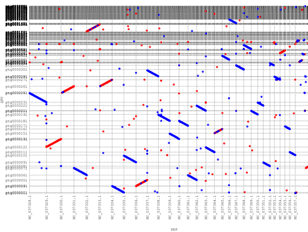 T2T组装2.0——基于hifiasm的快速组装 - 知乎