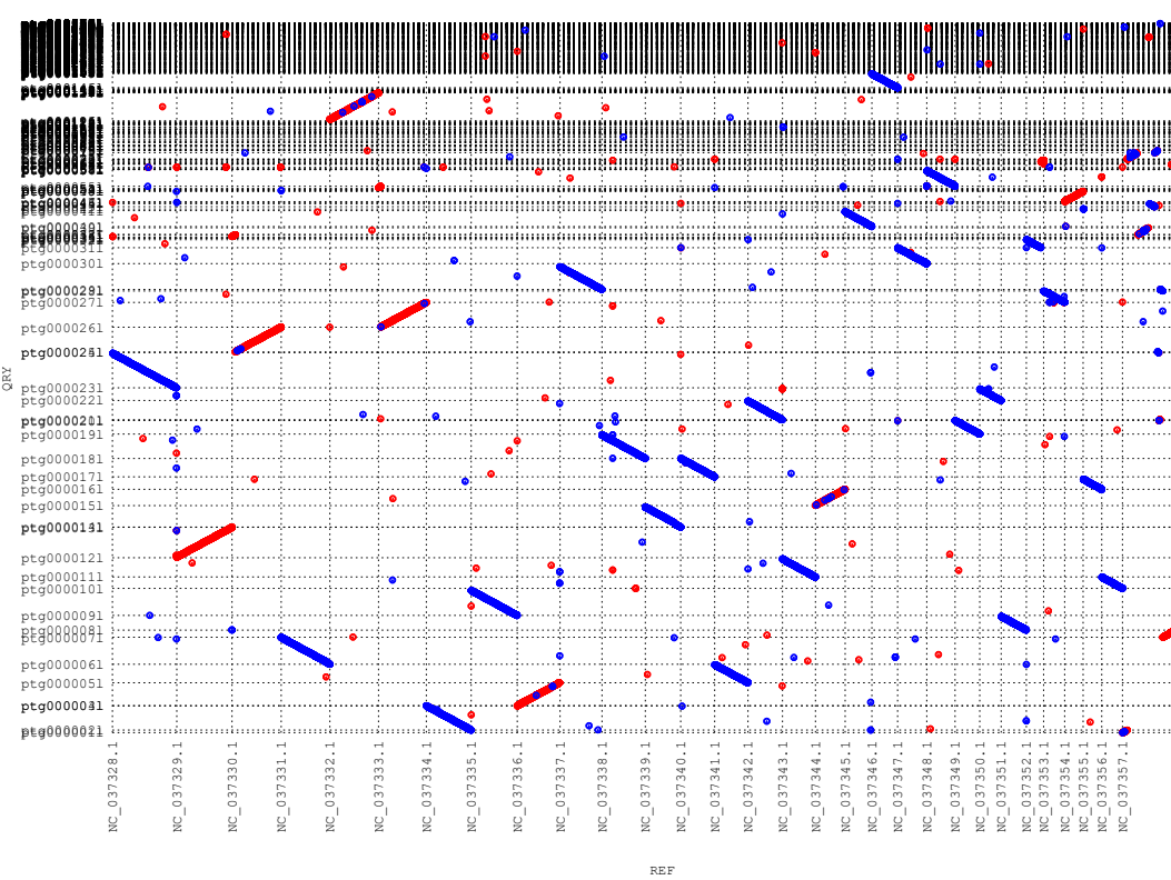 T2T组装2.0——基于hifiasm的快速组装 - 知乎