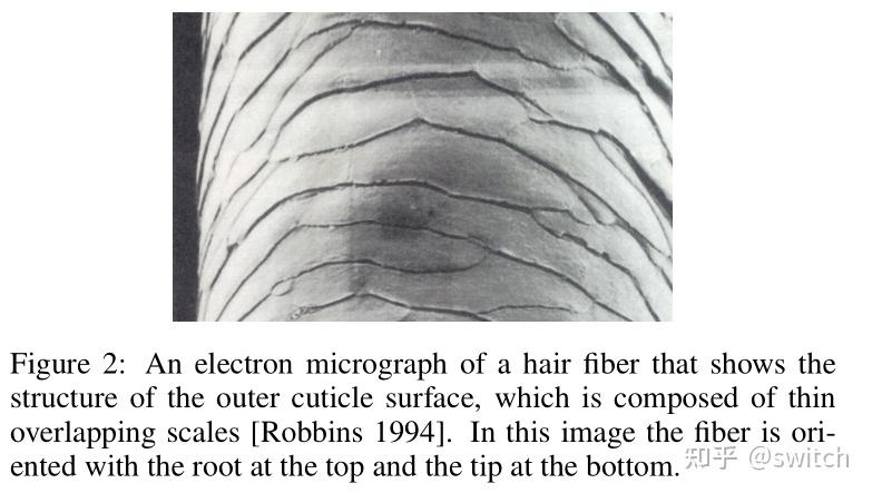 Marschner Hair Model论文细读与推导 - 知乎