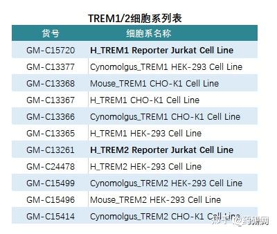 TREM1、TREM2丨髓系细胞表面受体的异军突起 - 知乎